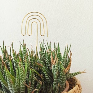 Rainbow Plant Trellis for Indoor Plant / Plant Accessories/ Plant Stake ...