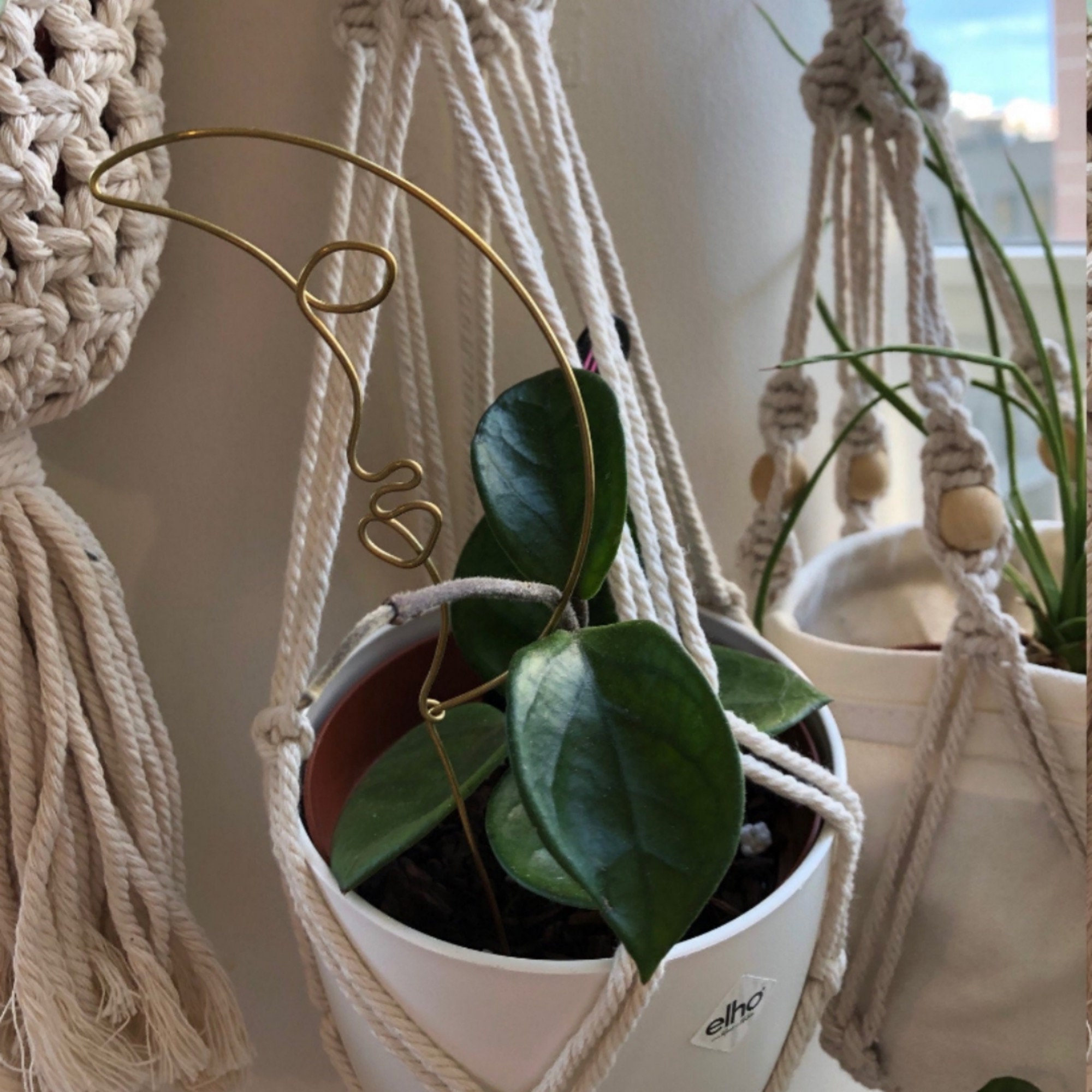 Sun and Moon Plant Trellis for Indoor Plant / Wire Trellis /plant Stake ...
