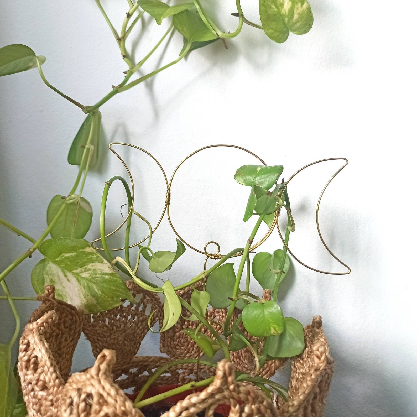 Triple Moon Goddess Plant Trellis for Indoor Plant/ Wire Trellis / Moon ...