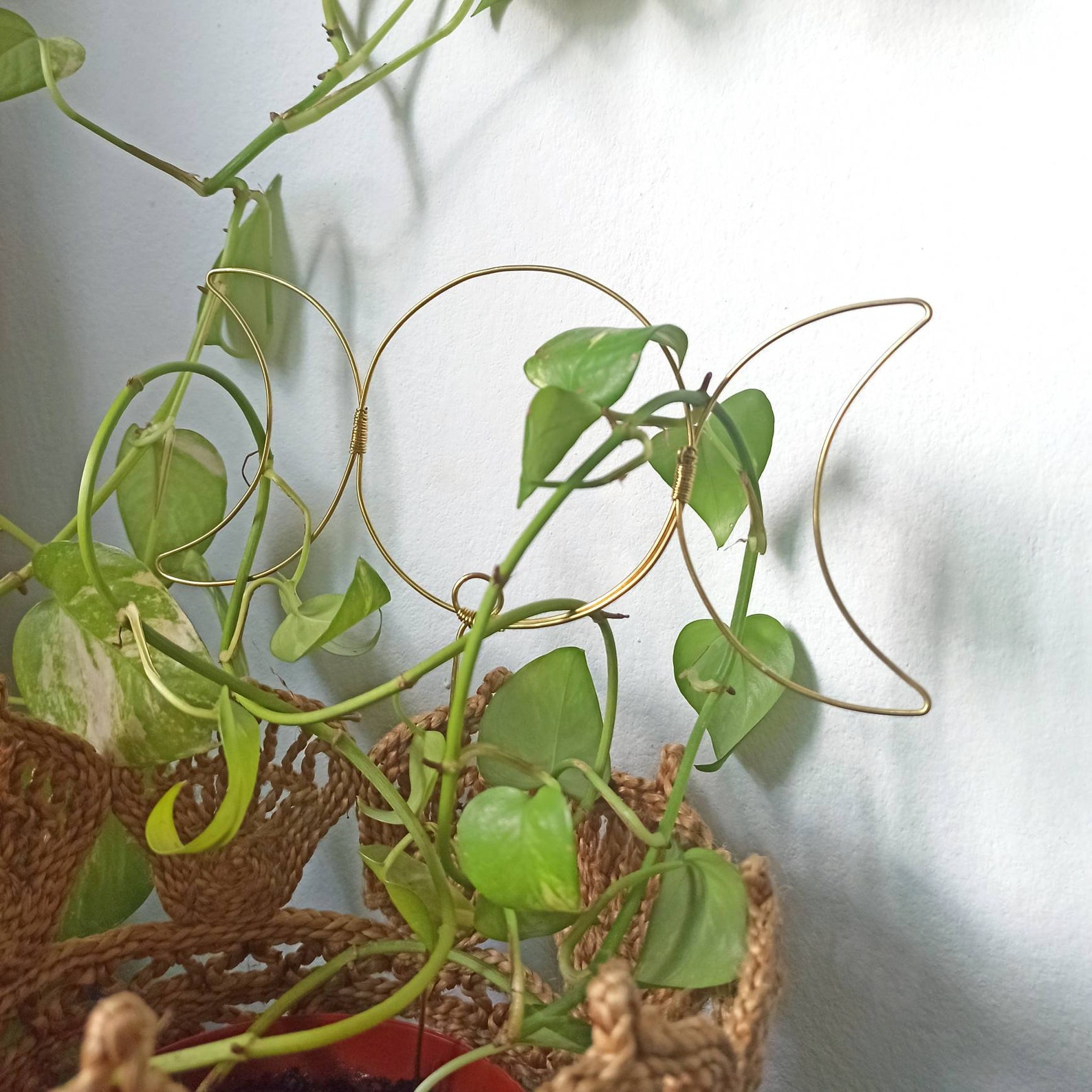 Triple Moon Goddess Plant Trellis for Indoor Plant/ Wire Trellis / Moon ...