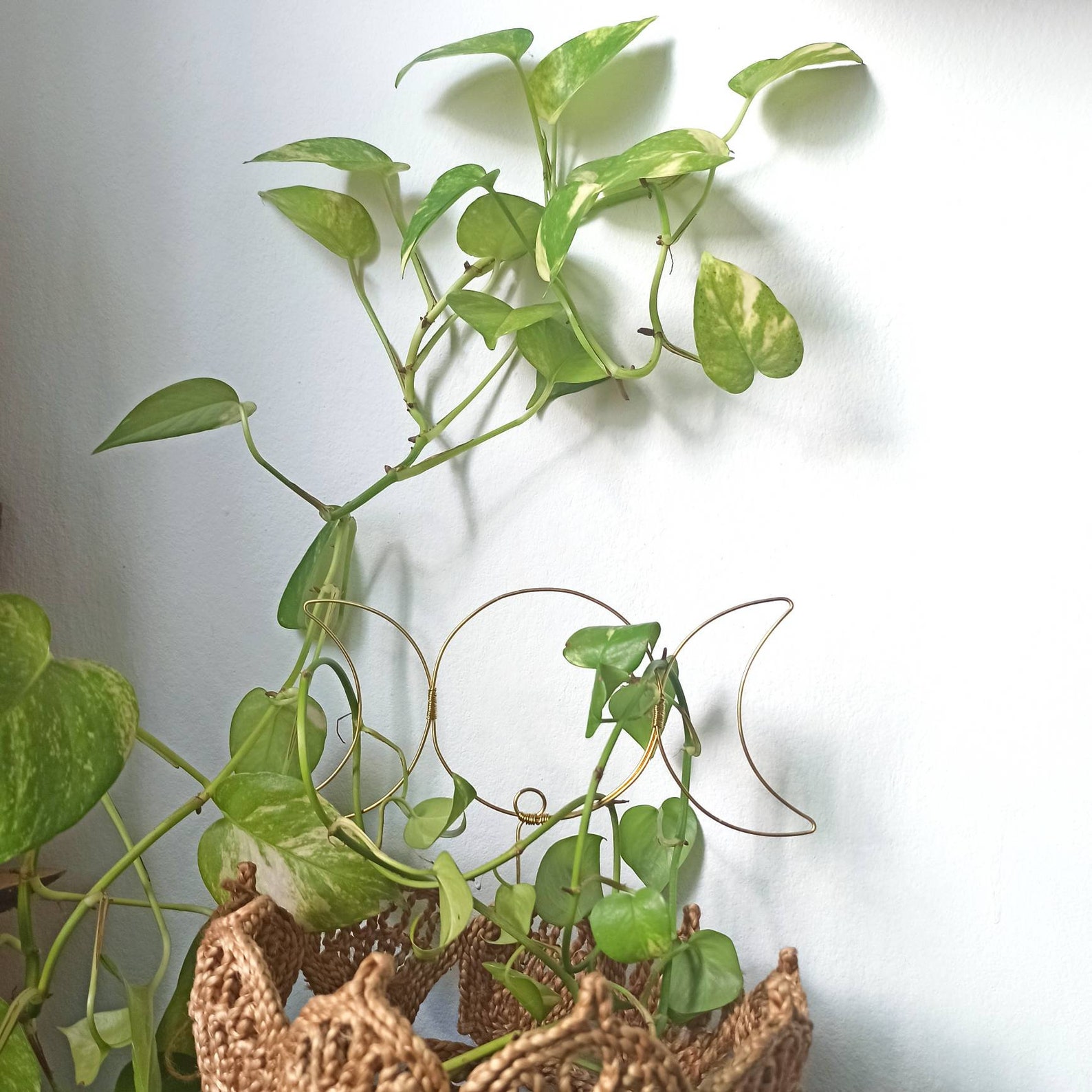Triple Moon Goddess Plant Trellis for Indoor Plant/ Wire Trellis / Moon ...