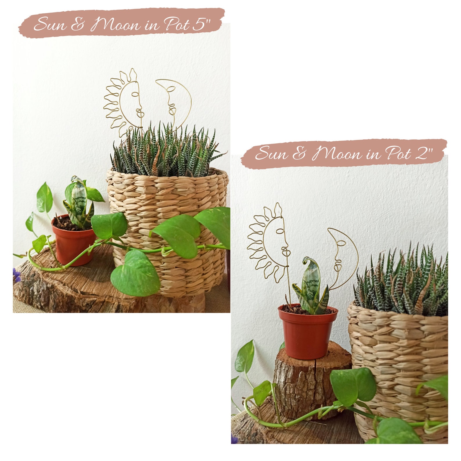 Sun and Moon Plant Trellis for Indoor Plant / Wire Trellis /plant Stake ...