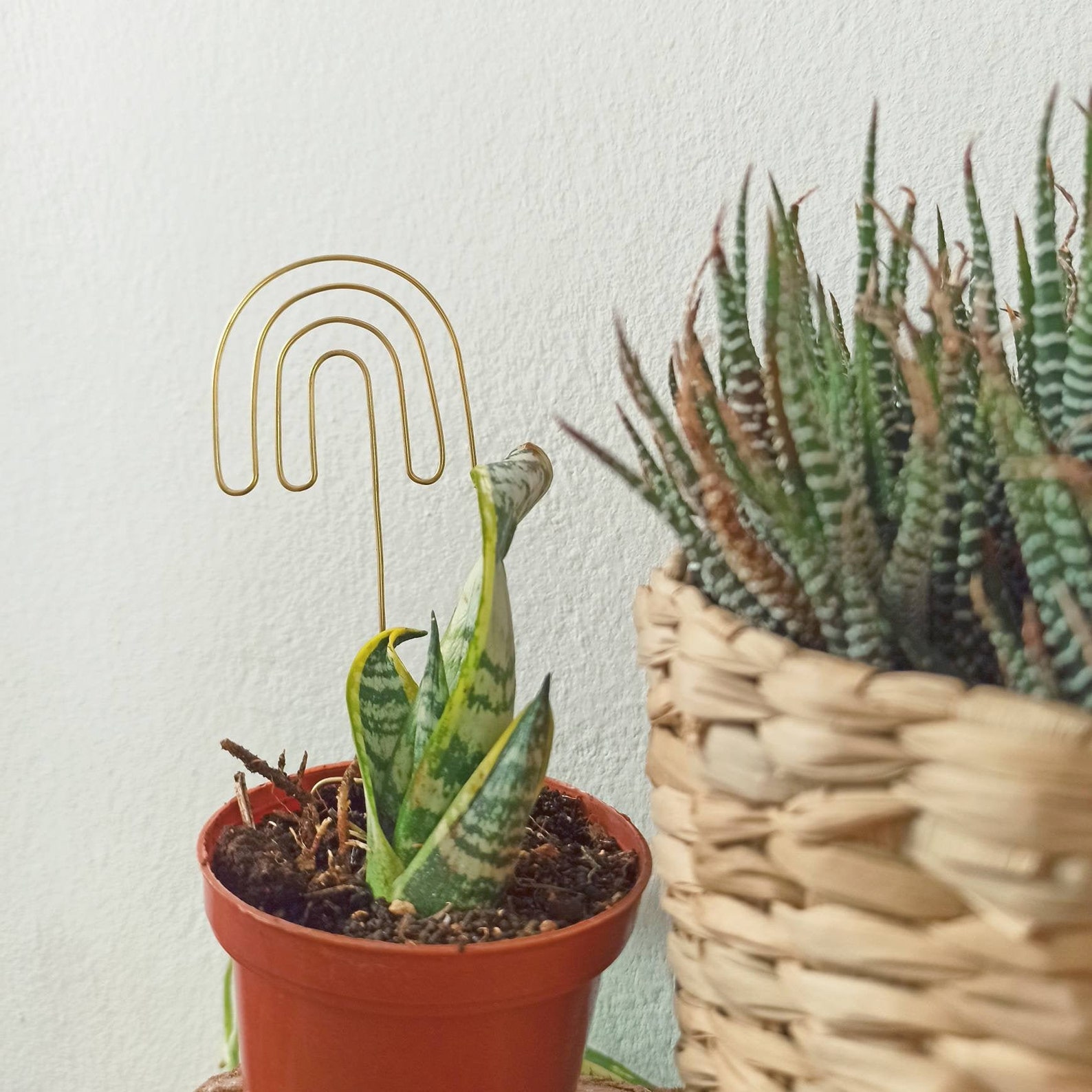 Rainbow Plant Trellis for Indoor Plant / Plant Accessories/ - Etsy