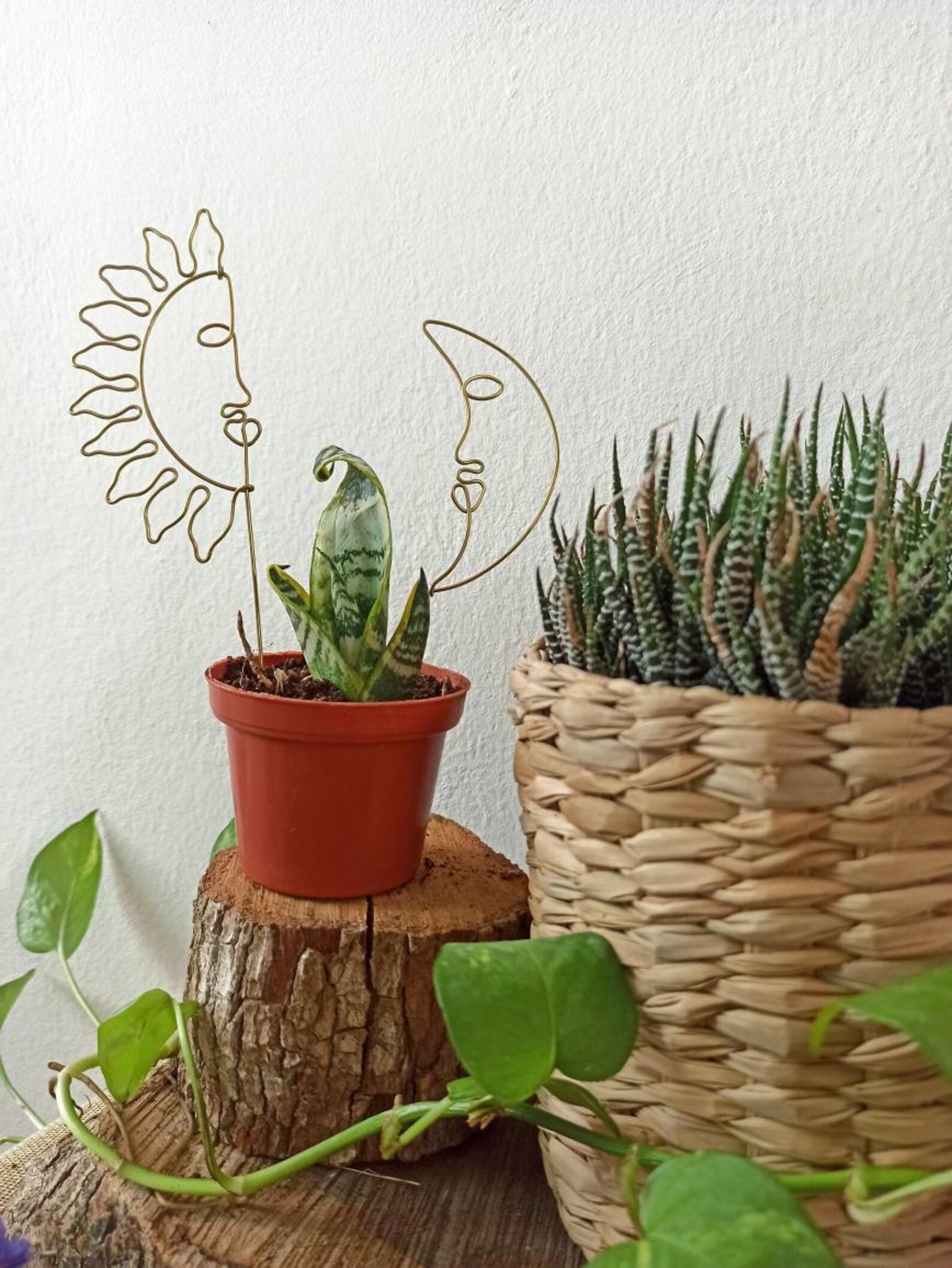 Sun and Moon Plant Trellis for Indoor Plant / Wire Trellis /plant Stake ...