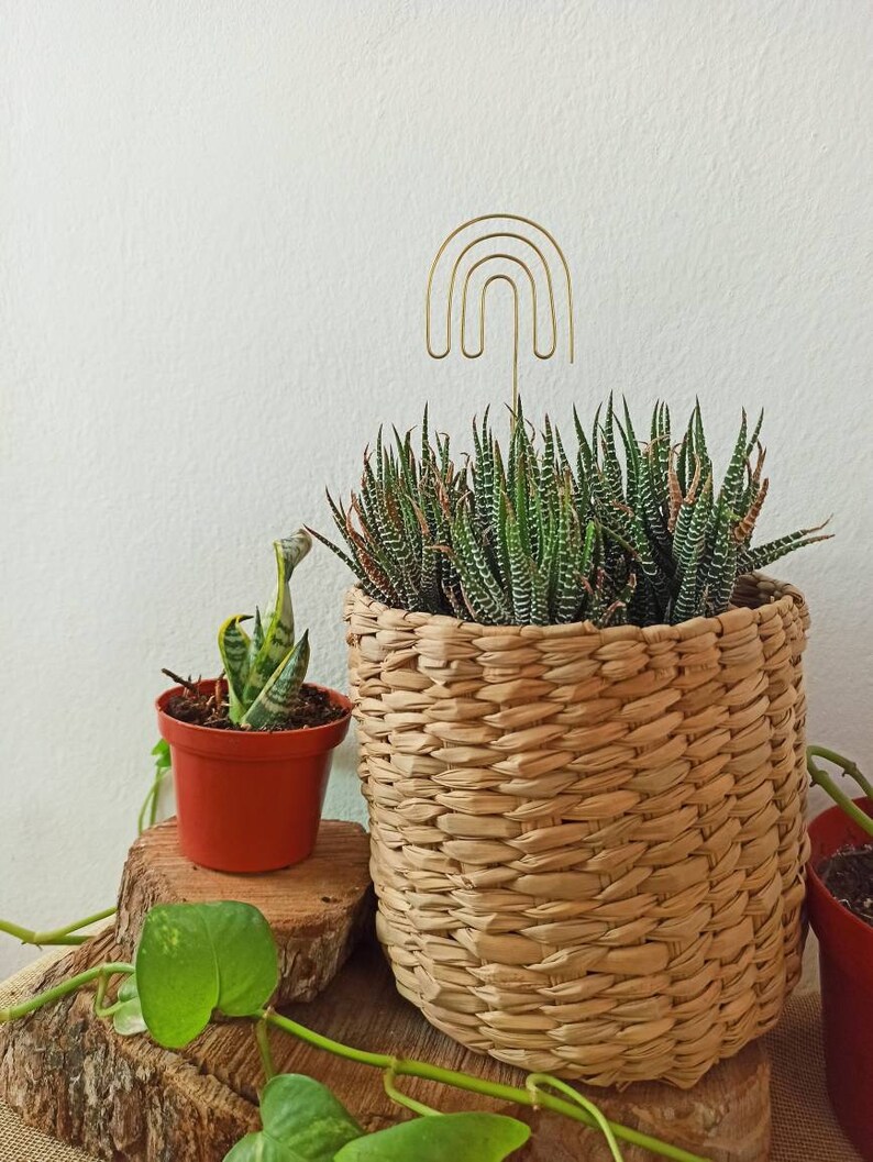 Rainbow Plant Trellis for Indoor Plant / Plant Accessories/ - Etsy