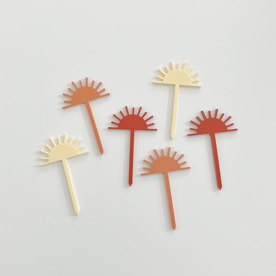 Acrylic Half Sun Cupcake Toppers First Trip Around the Sun - Etsy