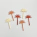 Acrylic Half Sun Cupcake Toppers First Trip Around the Sun Boho 1st ...