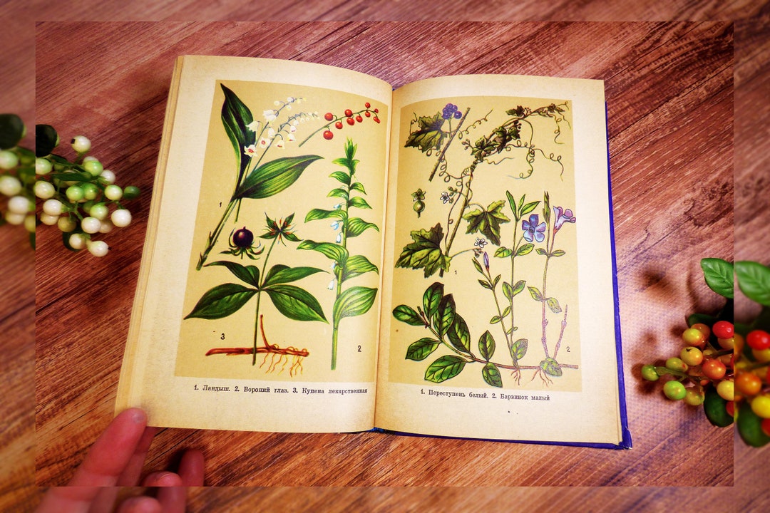 Poisonous Plants Book Vintage Herb Book Botanical Prints - Etsy