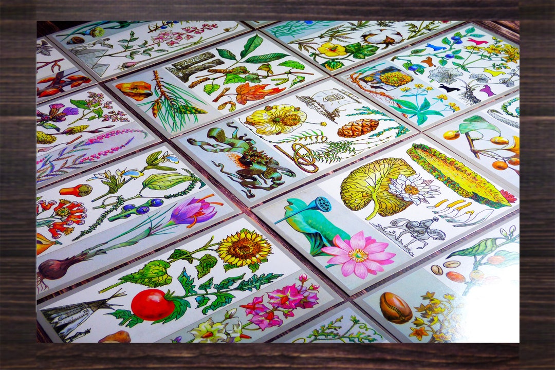 32 Botanical Cards Vintage Botanical Prints Mid Century - Etsy