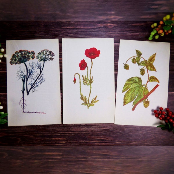 Botanical Book Plate - Etsy
