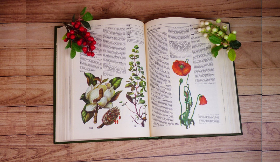 200 Botanical Pictures Medicinal Plants Reference Book Botanical Prints ...