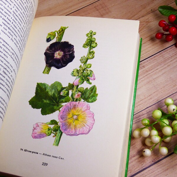 Green Botanical - Etsy