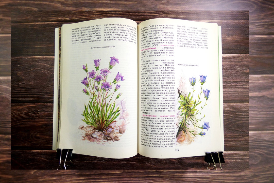 Old Botanical Book Botanical Prints Outdoor Plant Drawings Vintage ...