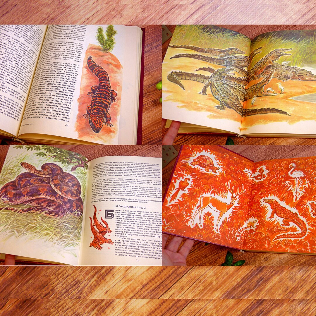 Vintage Animal Book Birds Pictures Reptiles Prints Panda Drawing Tigers ...
