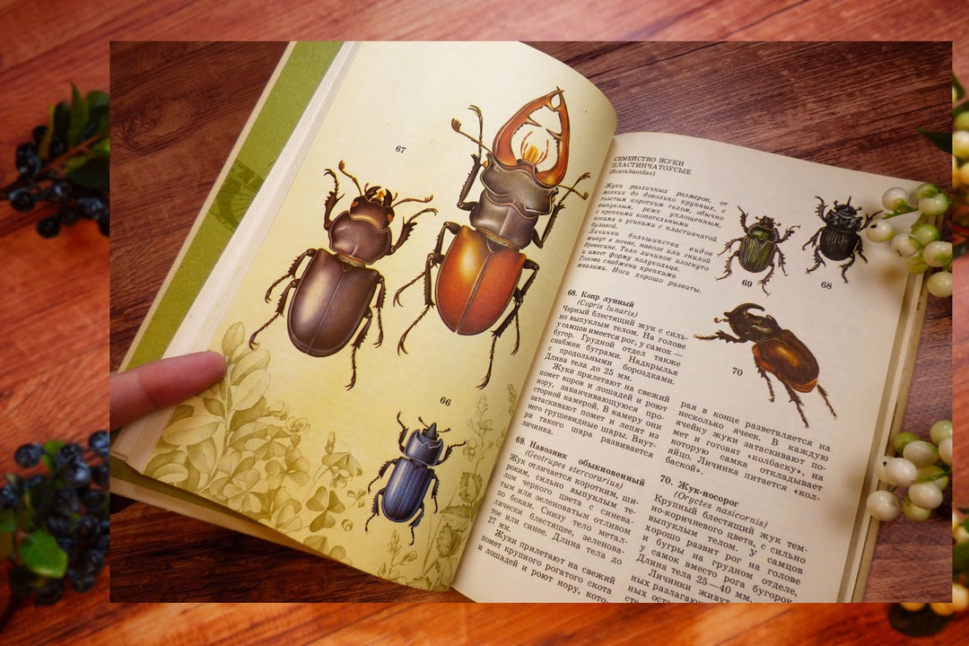 Insects Book Entomology Book Beetles Pictures Dragonflies Pictures ...