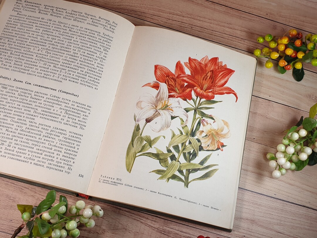 Decorative Gardening Book Old Flower Book Botanical Book Vintage ...