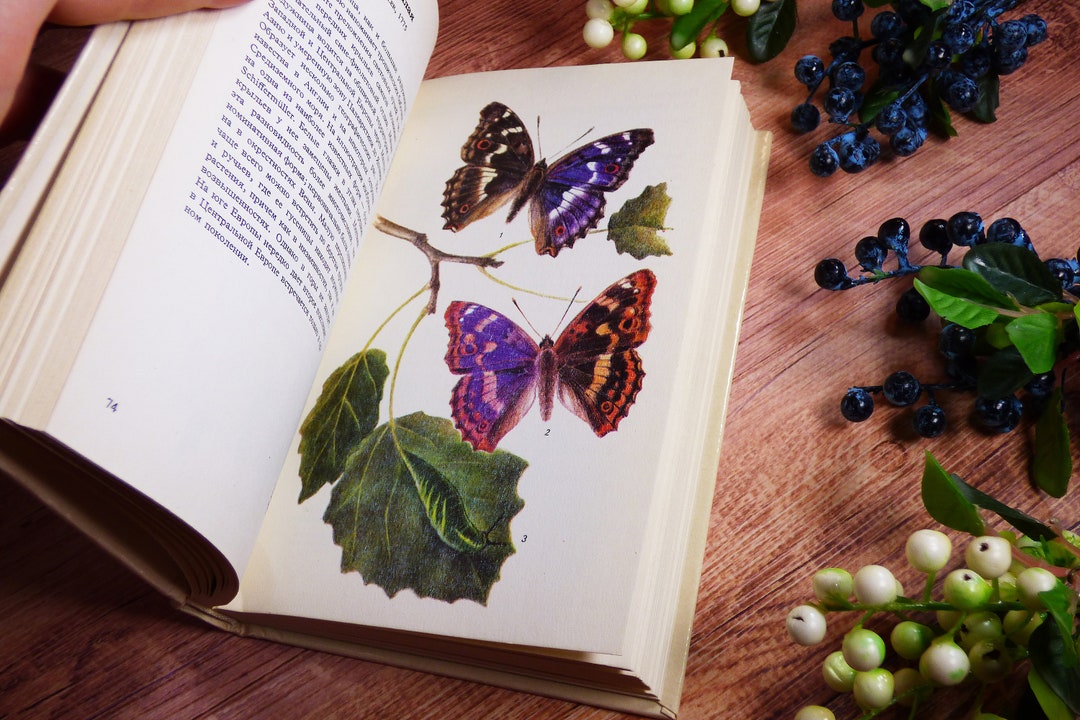 Butterfly Guide Book Butterfly Print Vintage Entomology Book - Etsy