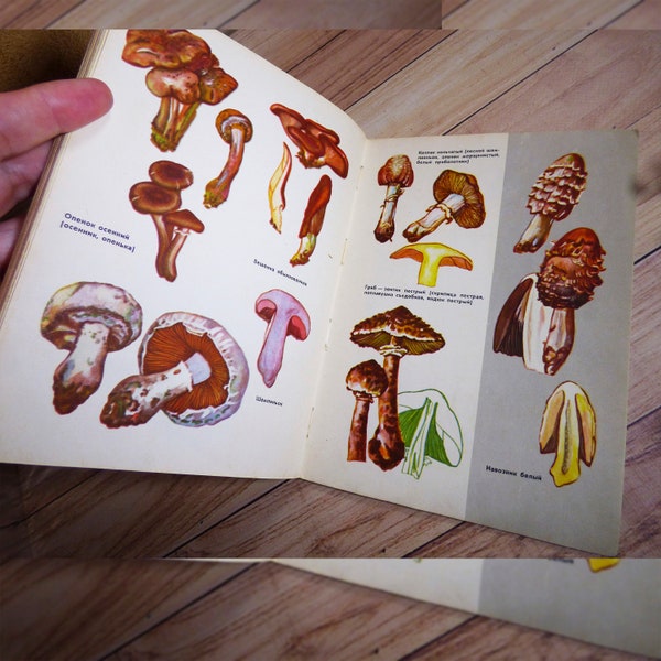 Pocket Guide Mushrooms - Etsy