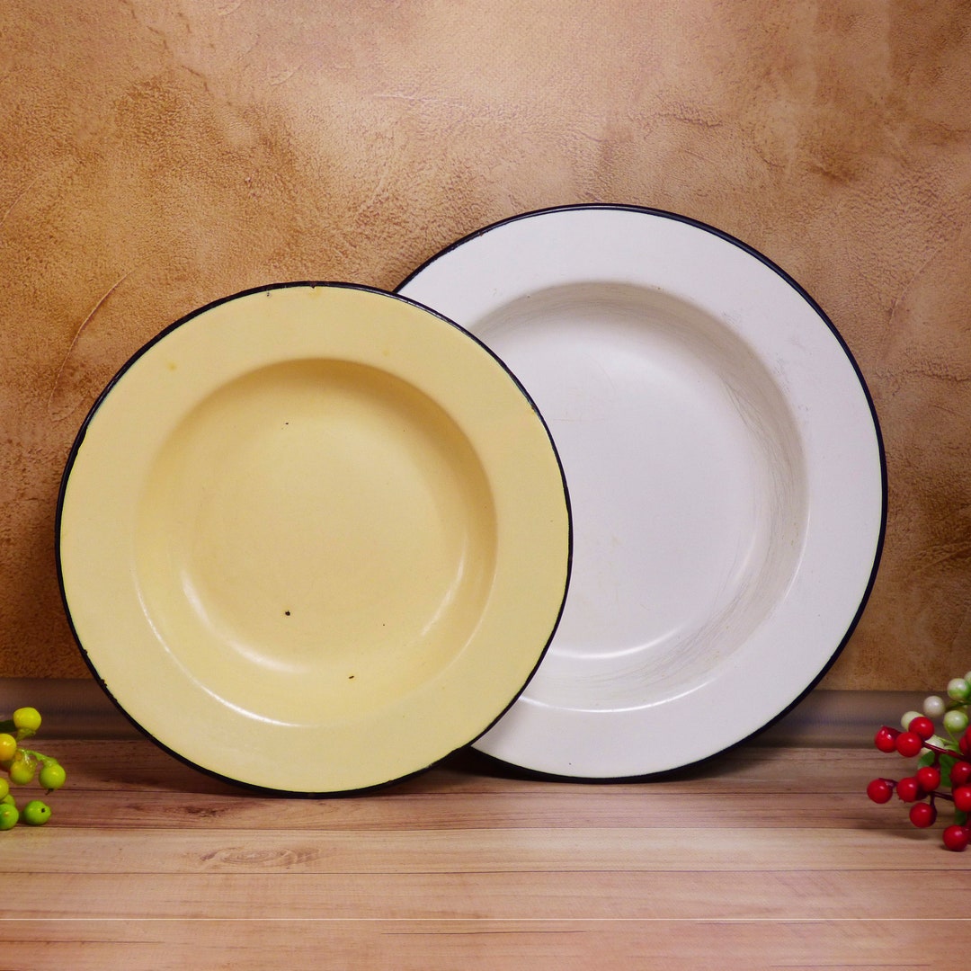 Vintage Enamel Dishes Small Metal Plates Set of 2 Enameled Plates Round ...