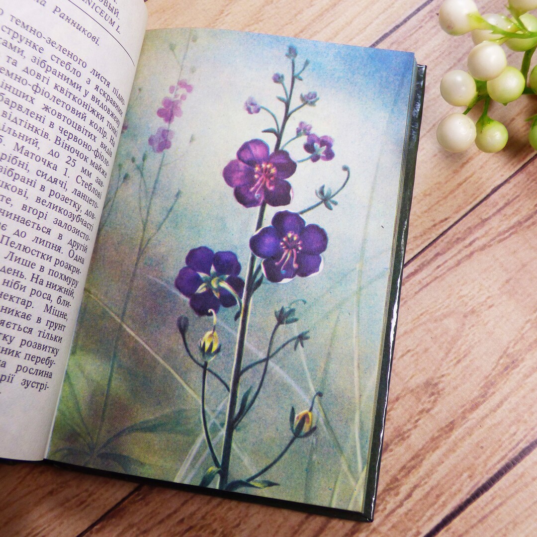 Small Flower Book Botanical Prints Herb Book Vintage Botanical Book ...