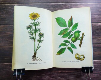 Old Botany Book - Etsy
