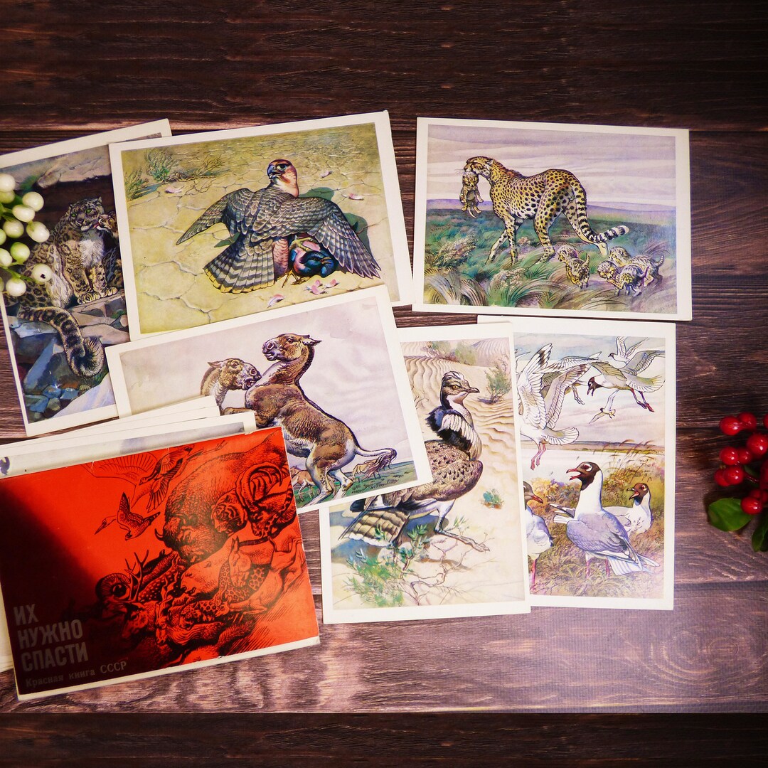 Vintage Animal Postcard Set: USSR 1979 Fauna Cards, Bird & Mammal ...