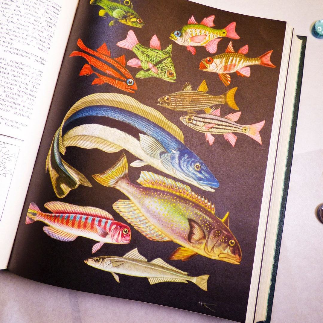Vintage Fish Atlas Ichthyology Reference Book Big Fish Book Old Fish ...