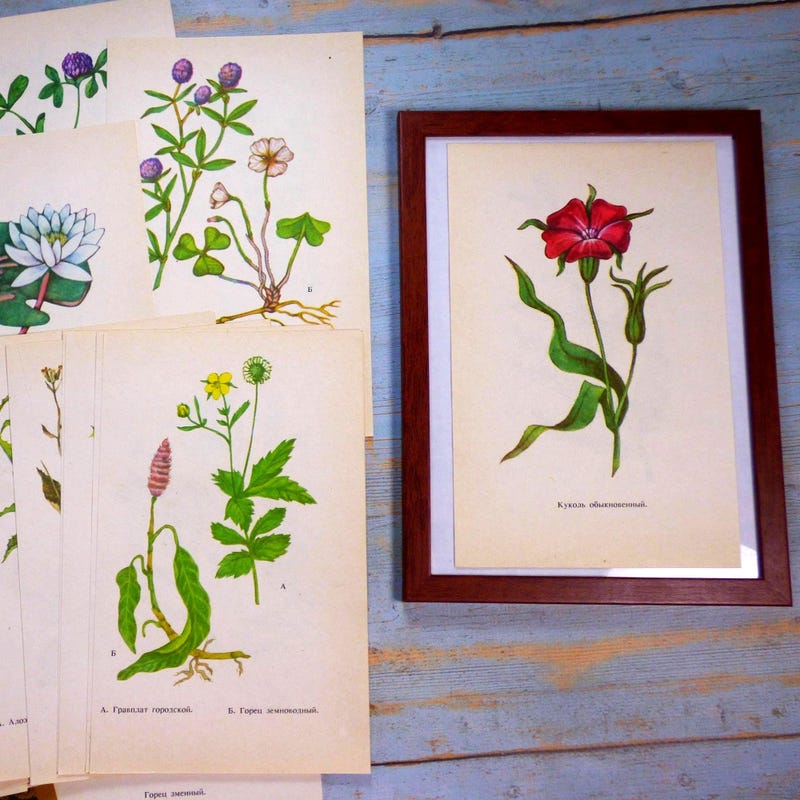 Botanical Book Plate - Etsy