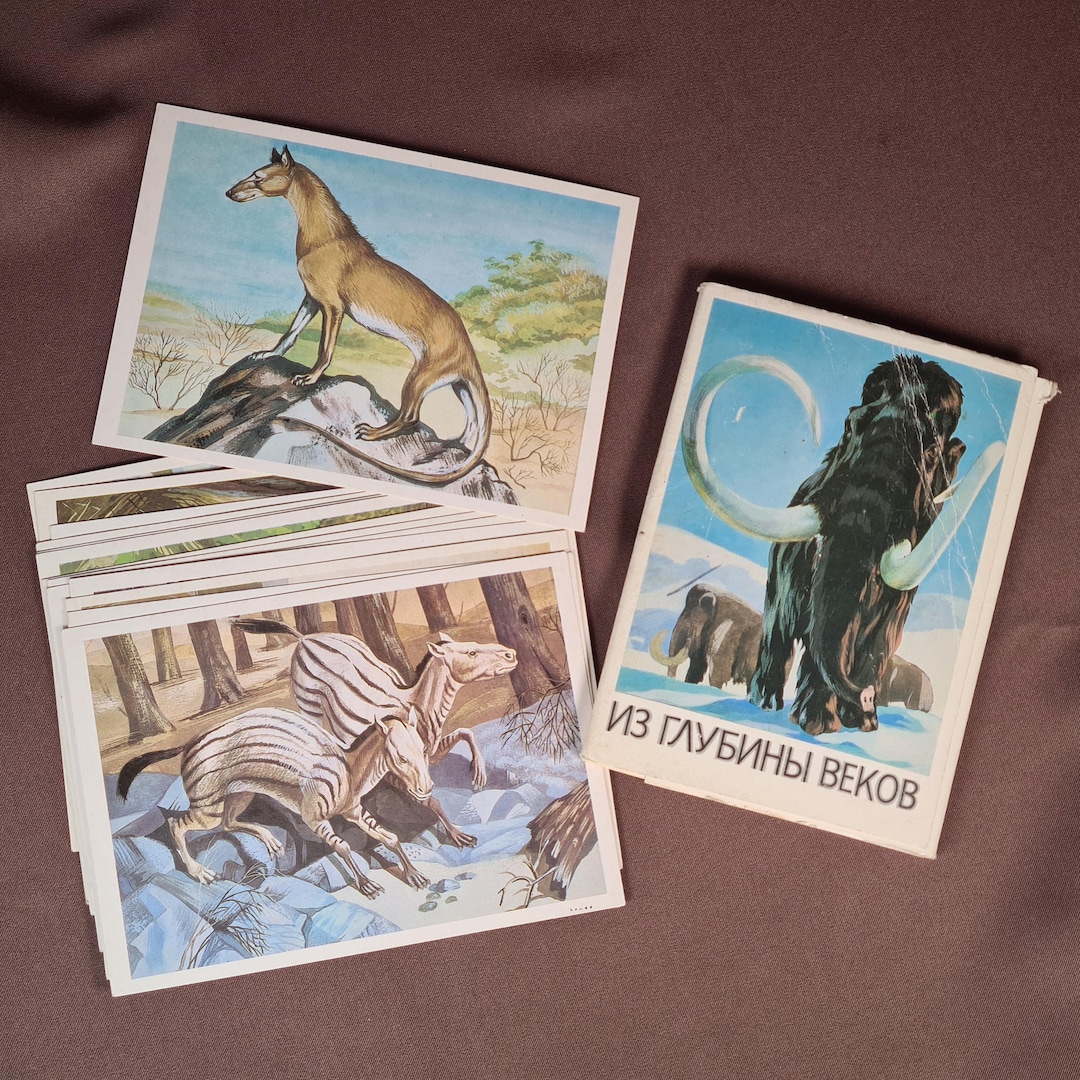 Vintage Set of Extinct Animals Postcards Ancient Animals the Cenozoic ...