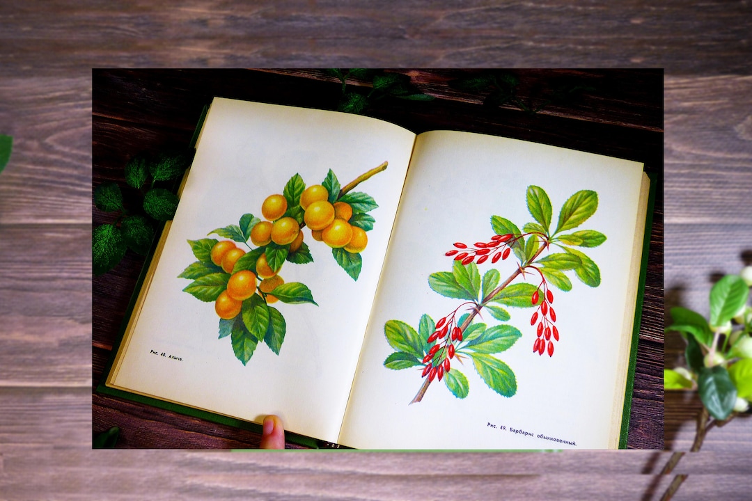 Wild Fruit Plants Book Botanical Book 40 Color Botanical - Etsy