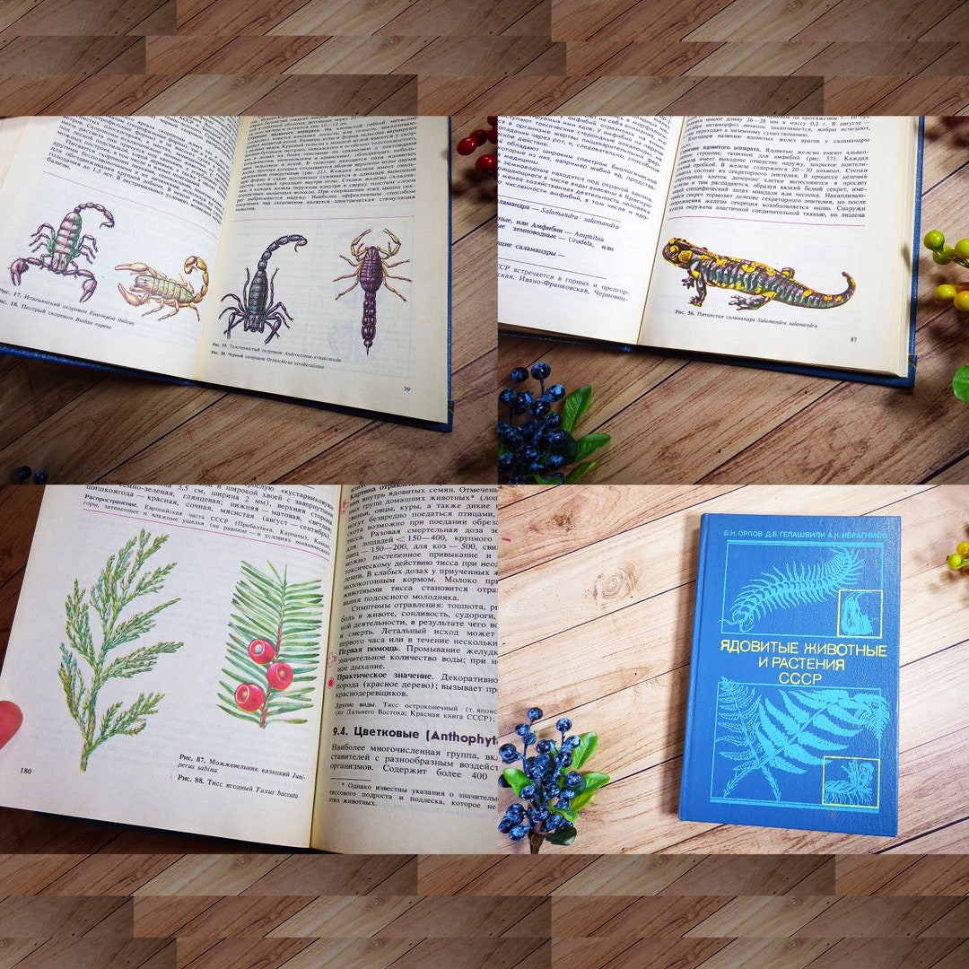 Poisonous Plants & Animals Vintage Animal Book Snake Pictures Fish ...