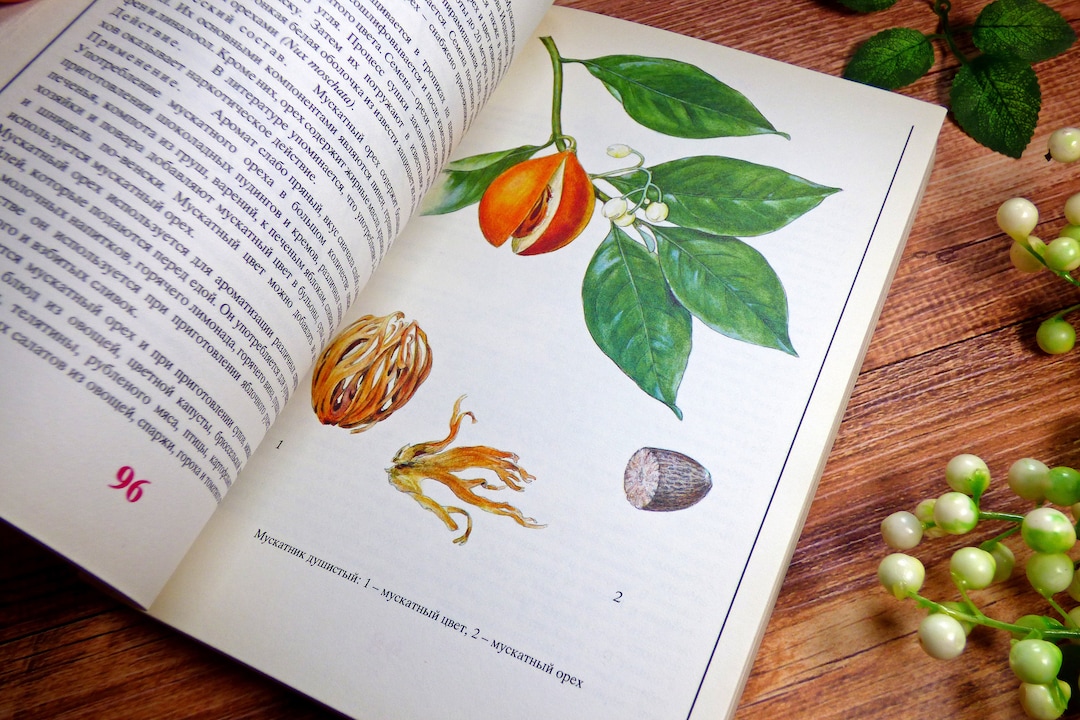 Spices Book Botanical Prints Vintage Plants Book Botanical Book Spices ...