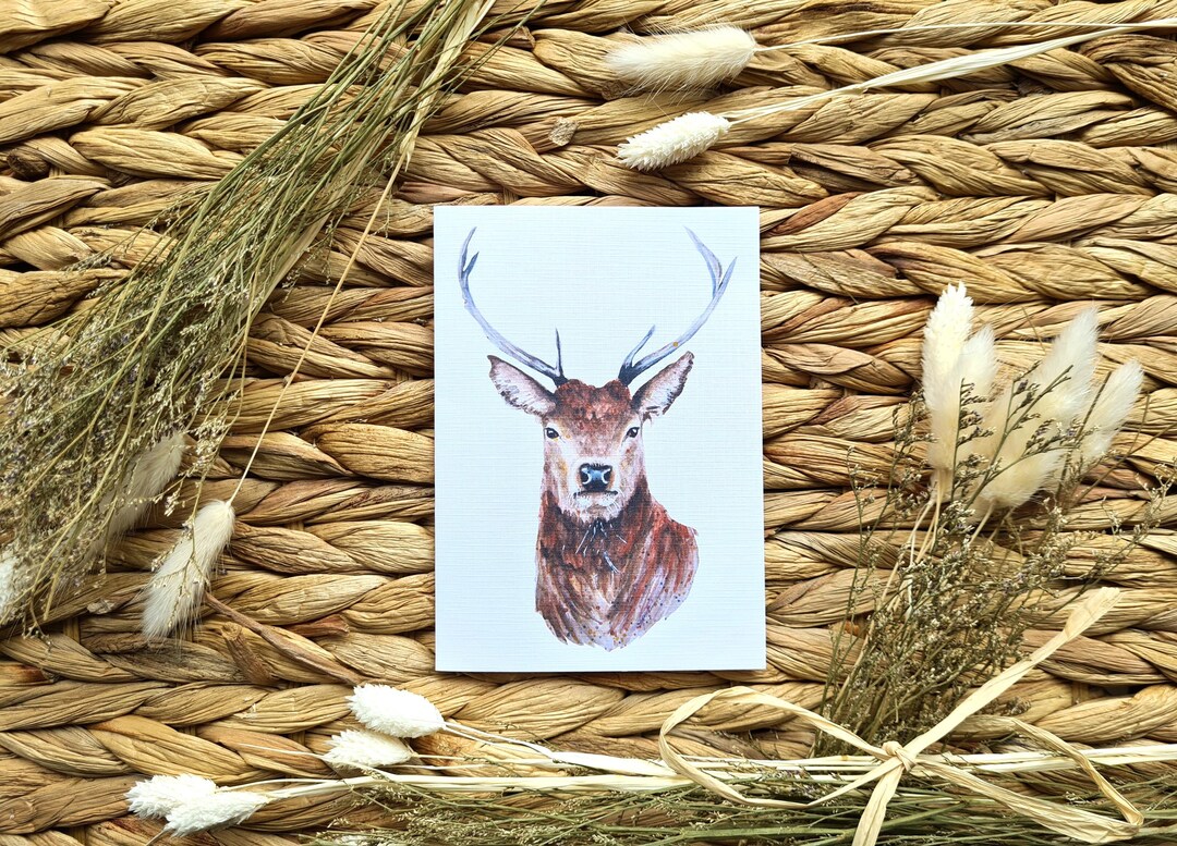 Highland Stag Card. Stag Greeting Card. Scottish Stag. A6 Blank Cards ...