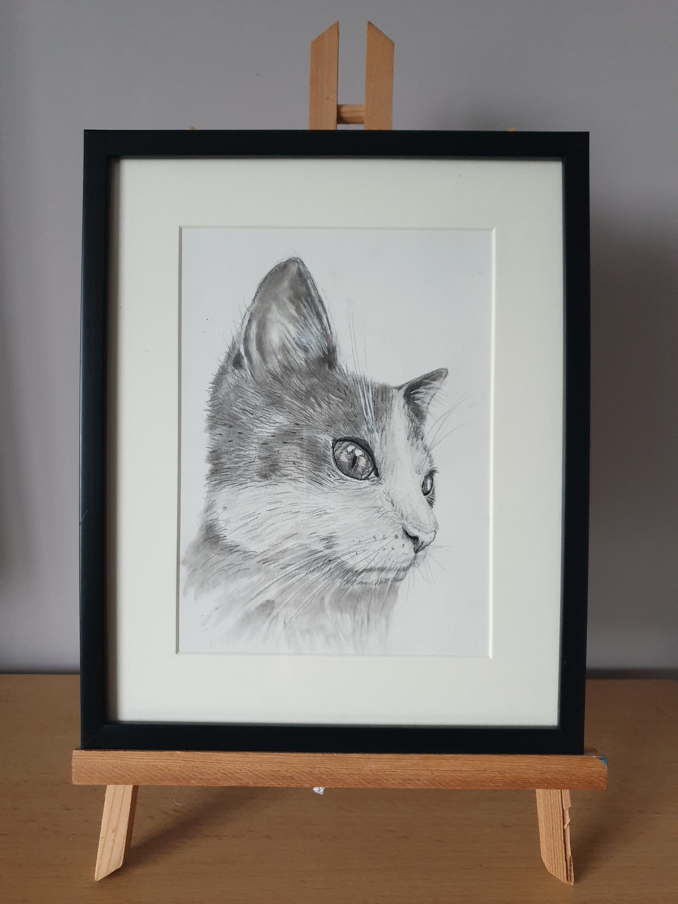 Cat Drawing, Pencil Drawing, Cat Artwork, Framed Art 22x27cm, Gift for ...