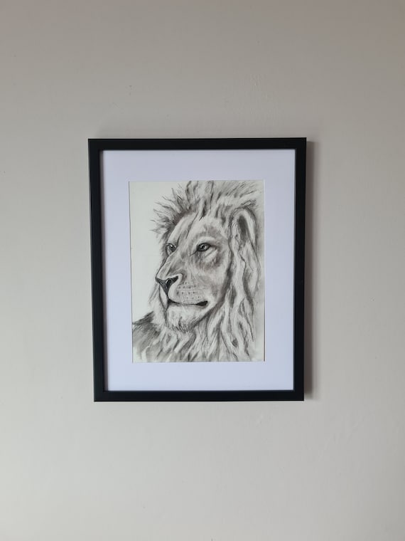 Lion Pride Drawing
