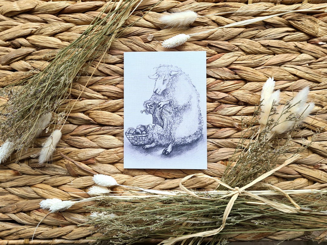 Knitting Sheep Pencil Drawing Card: Linen A6 Blank Card - Etsy