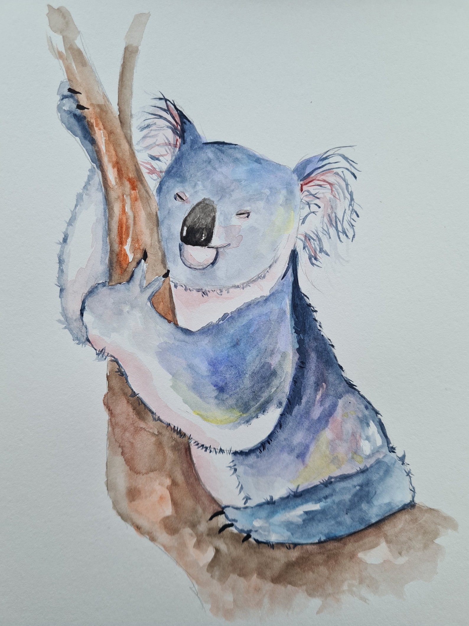 Koala, Koala Bear, Watercolour, Painting, 22x27cm, Sleeping Koala ...