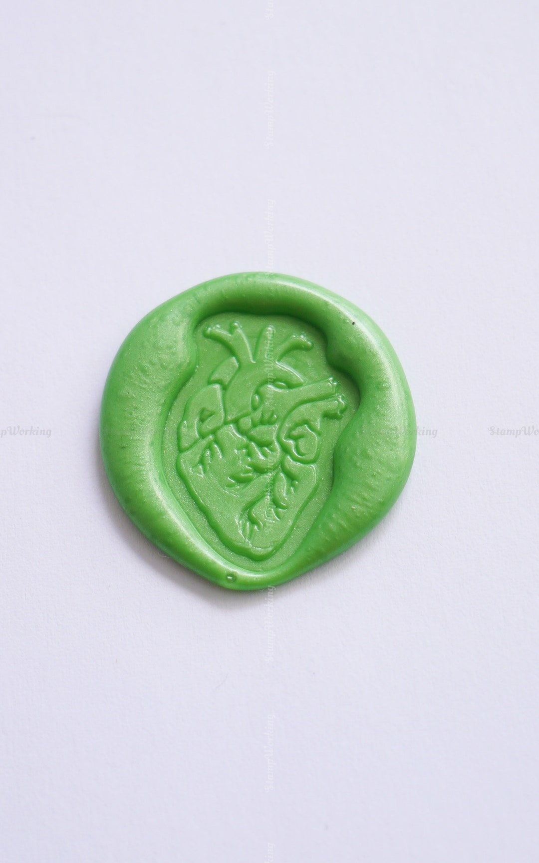 Heart Wax Seal Stamp - Anatomical Human Organ Wax Seal Stamp - Package ...