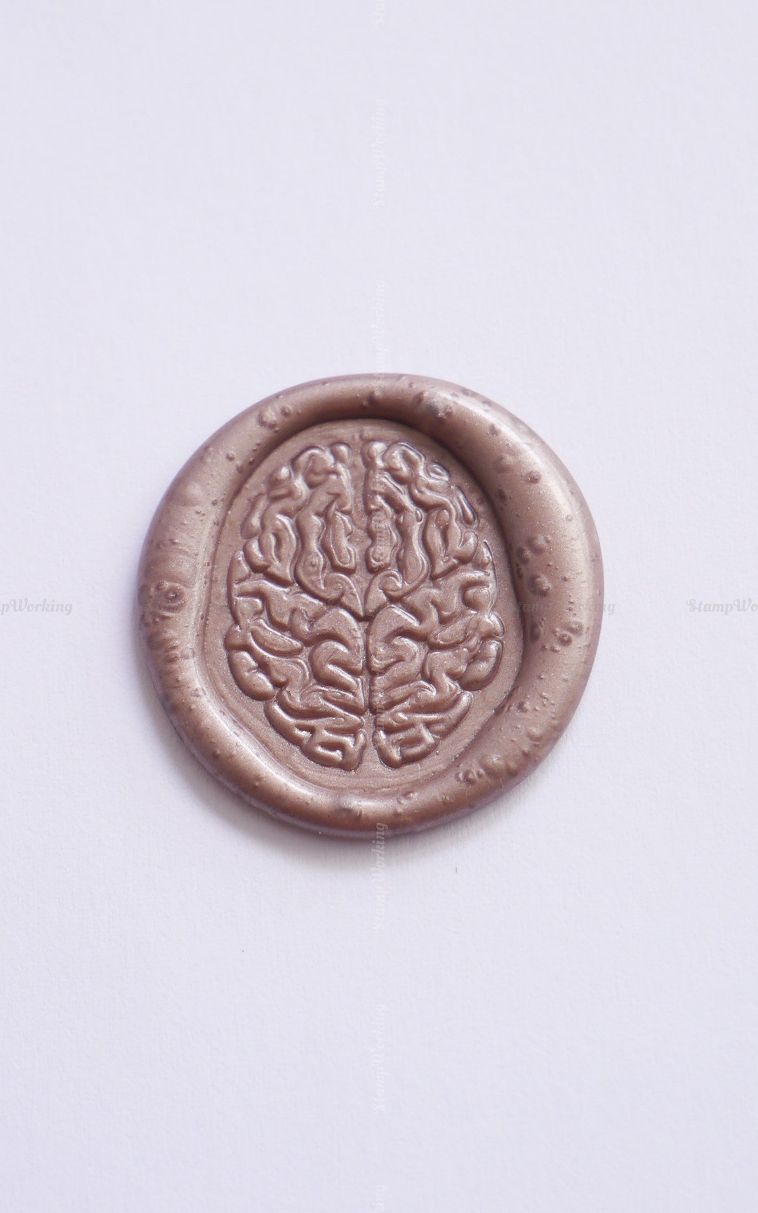Brain Wax Seal Stamp - Anatomical Human Organ Wax Seal Stamp - Package ...