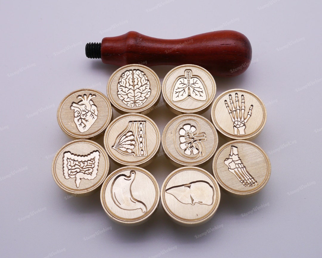 Anatomical Human Body Organ Wax Seal Stamp - Popular Health Care ...