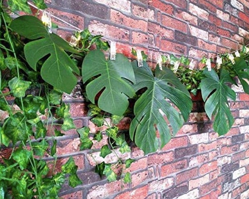 COMBO 84FT Artificial Vines With Leaves Fake Ivy Foliage - Etsy