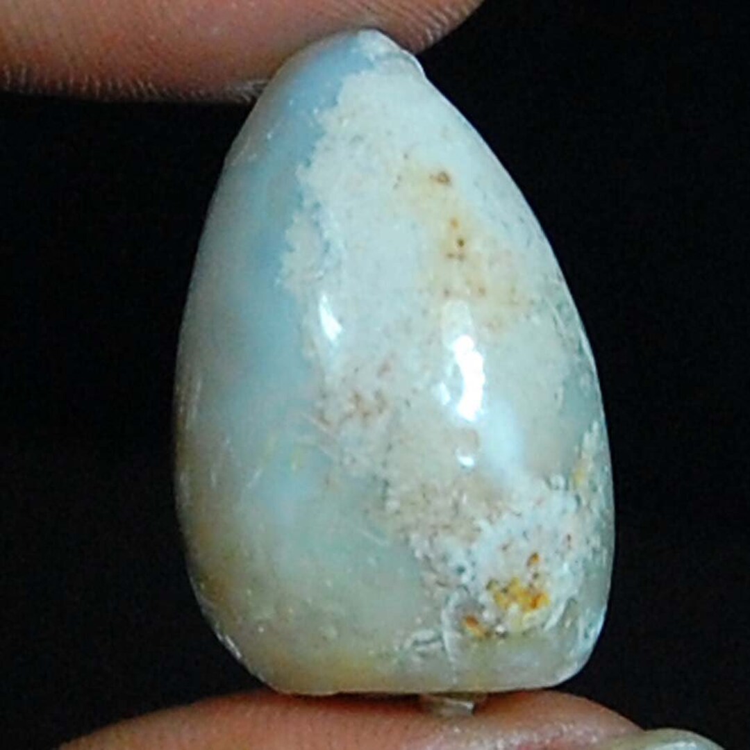 Crystallized Shells for Wire Wrapping, Druzy Shell Lot, Agatized Snail ...