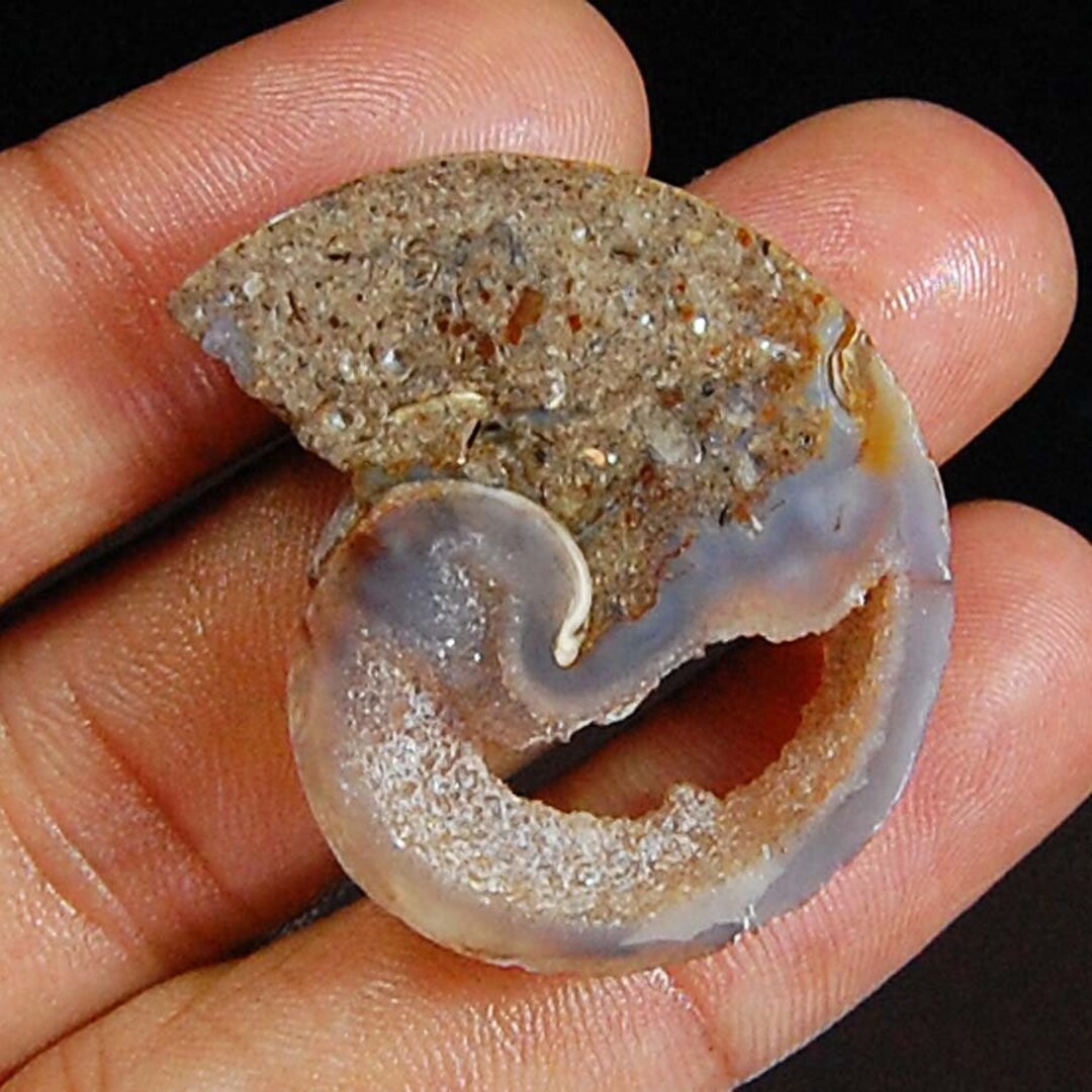 Beautiful Fossil Snail Druzy Agate Cabochon 100% Natural Fossil Snail ...