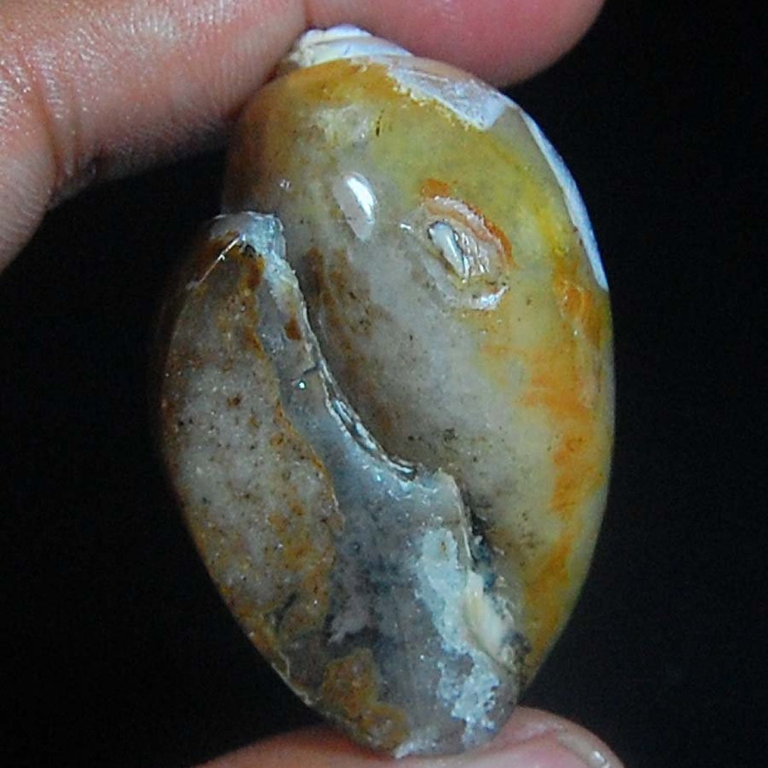 Natural Conch Shell/conch Druzy Gemstone Cabochon Snail - Etsy Hong Kong