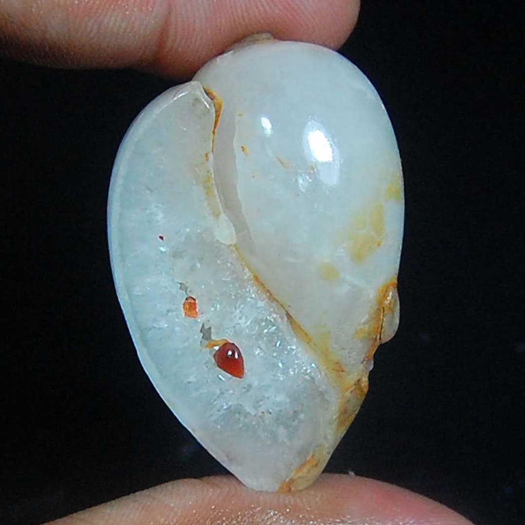 Natural Conch Shell/conch Druzy Gemstone Cabochon Snail - Etsy Hong Kong