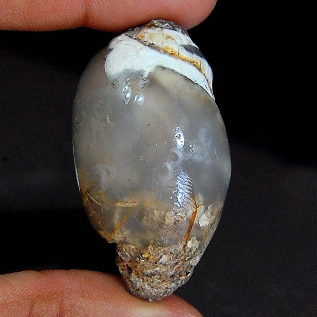 Crystallized Shells for Wire Wrapping, Druzy Shell Lot, Agatized Snail ...