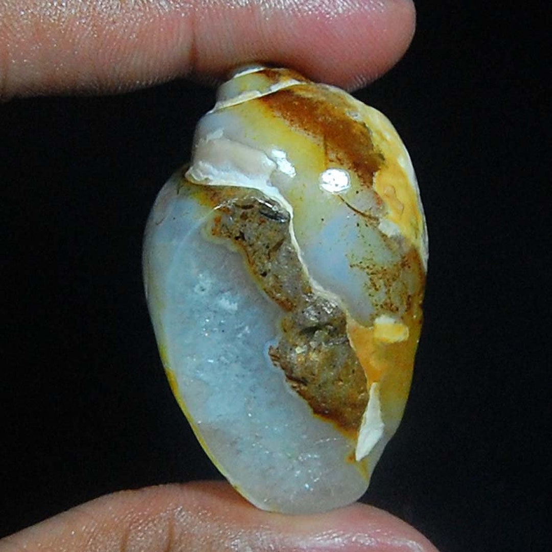 Natural Conch Shell/conch Druzy Gemstone Cabochon Snail - Etsy Hong Kong