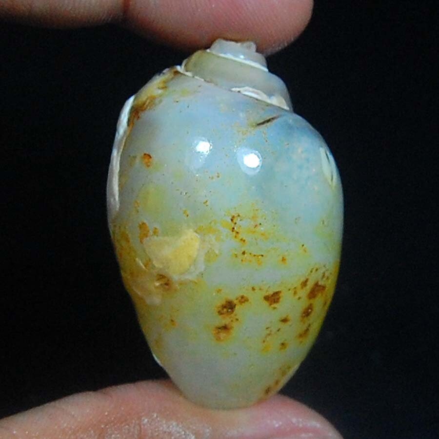 Natural Conch Shell/conch Druzy Gemstone Cabochon Snail - Etsy Hong Kong
