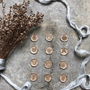 Wax Seal Sampler Pack, Styled Shoot Props, French Wax Seals, Wax Seals ...