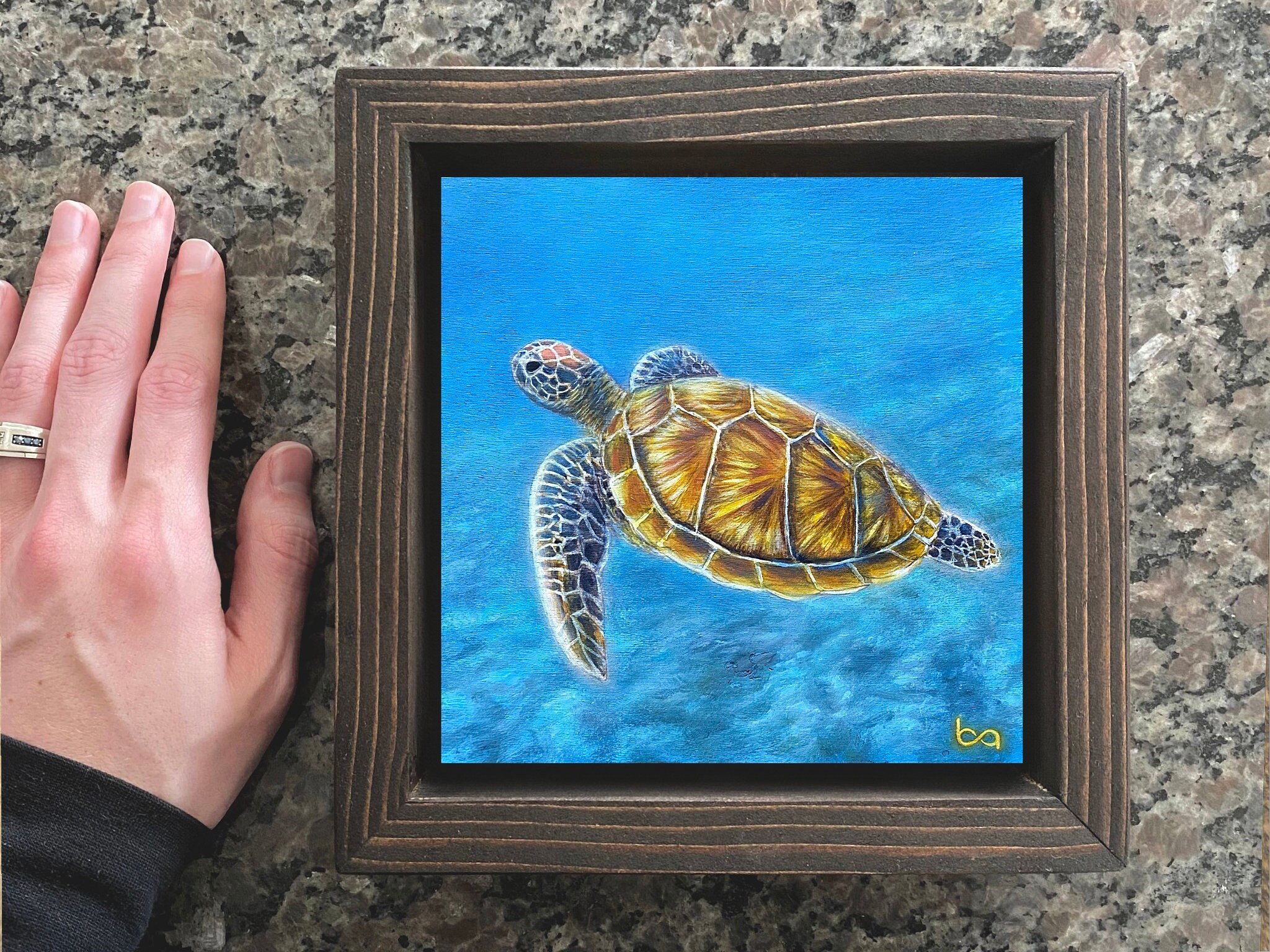 Sea Turtle Hand Painted Original Acrylic Painting Tropical - Etsy